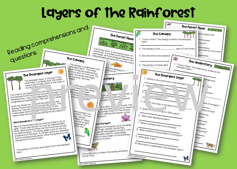 Amazon Rainforest Layers (Download Now) - Etsy