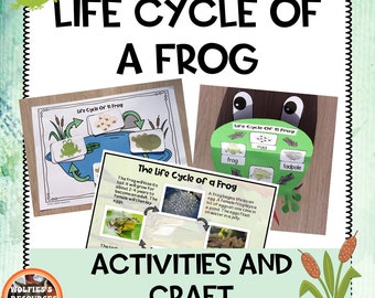 Life Cycle of a Frog Frog Lifecycle Three-part Cards 4 Stages Frog ...