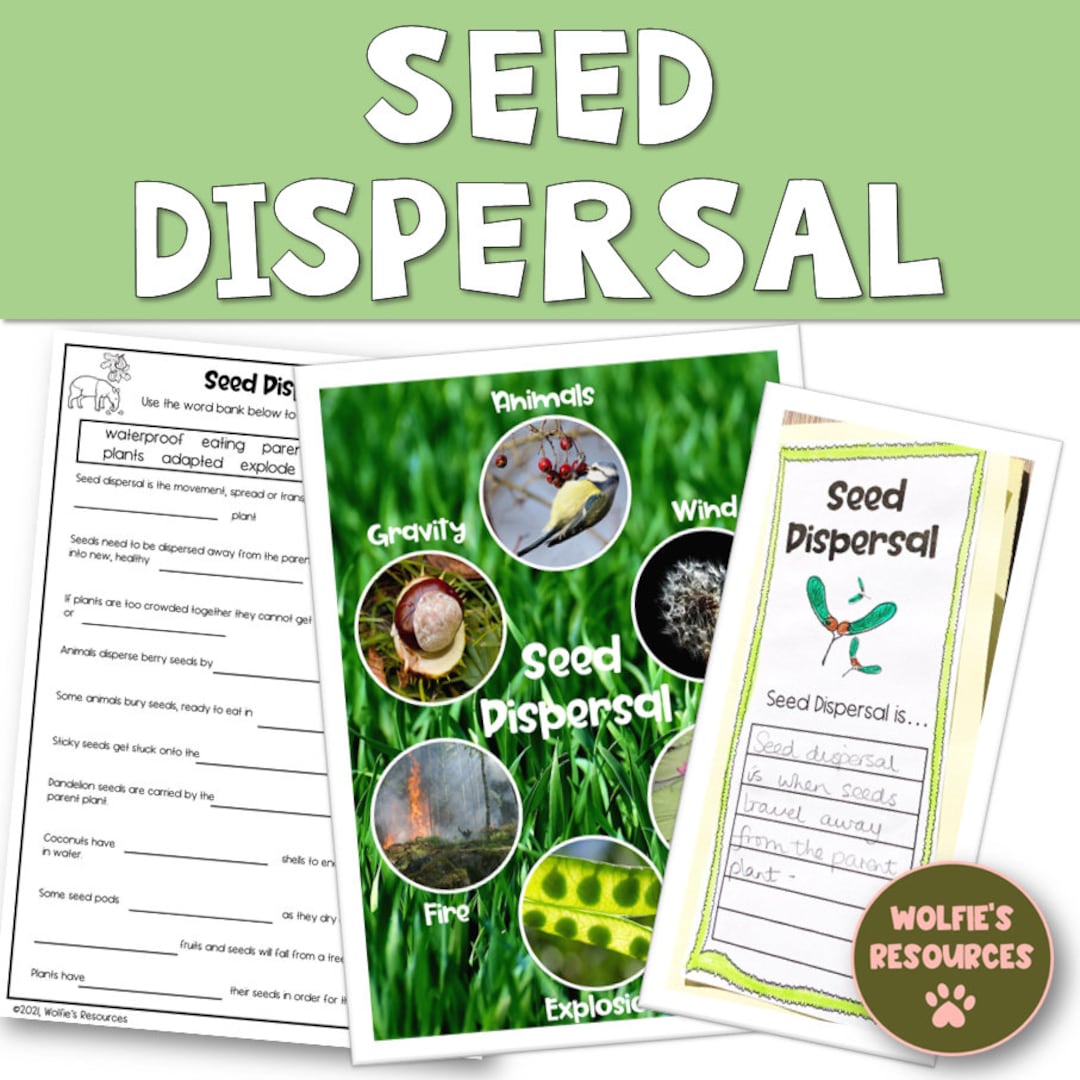 Seed Dispersal