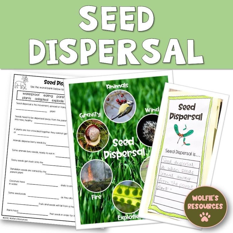 Seed Dispersal - Etsy
