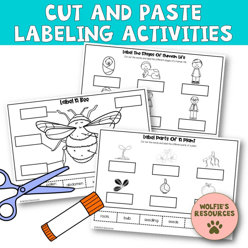 50 Science Printable Worksheets for First Grade and Homeschool - Etsy UK