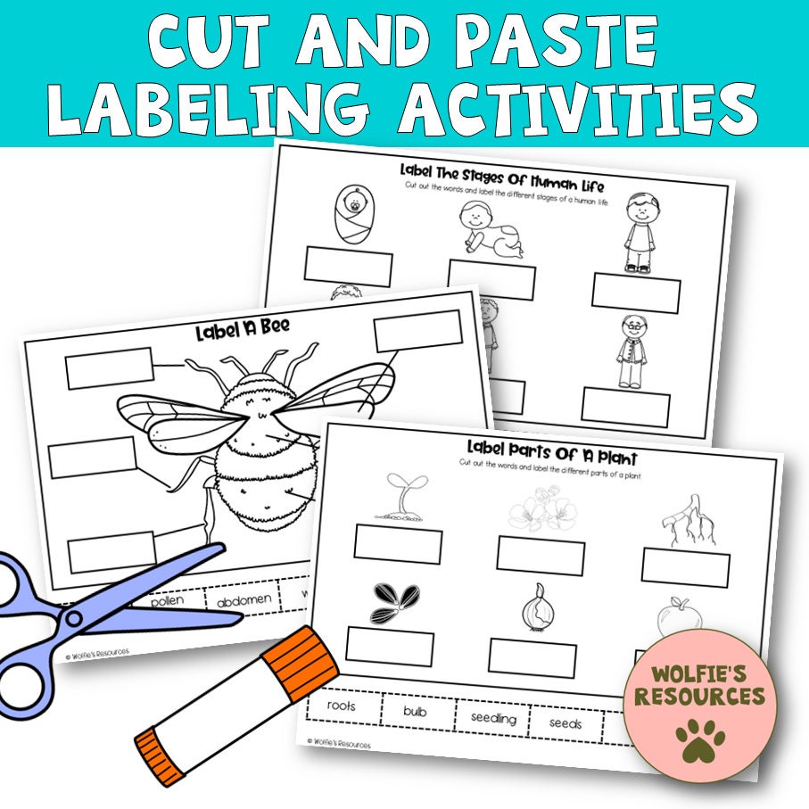 50 Science Printable Worksheets for First Grade - Etsy UK