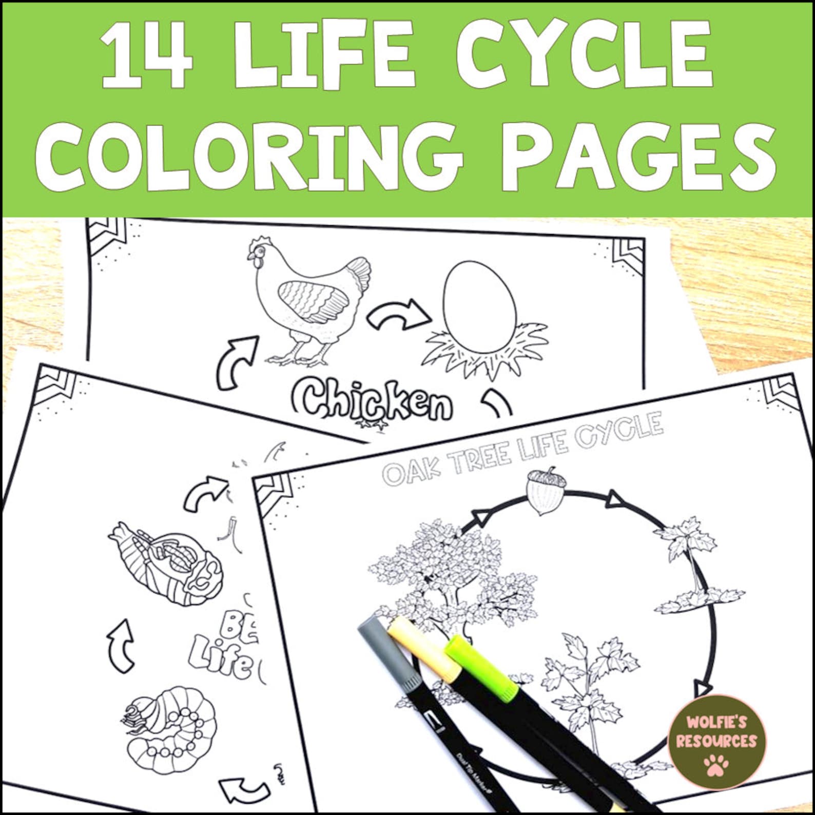 Life Cycle Wheels: Animal & Plant Learning Activity - Etsy