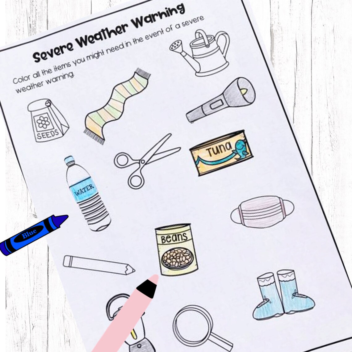 Kindergarten Weather and Climate | Etsy