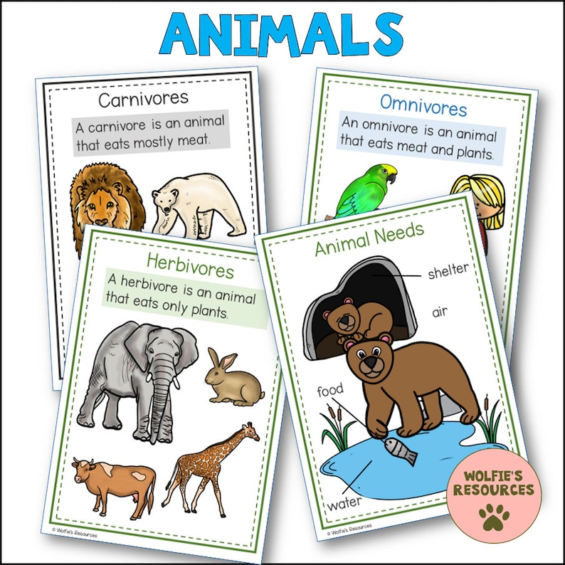 50 Science Posters for Kindergarten and Homeschool - Etsy