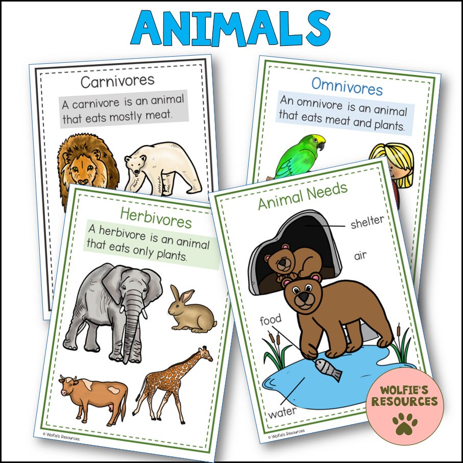 50 Science Posters for Kindergarten and Homeschool - Etsy