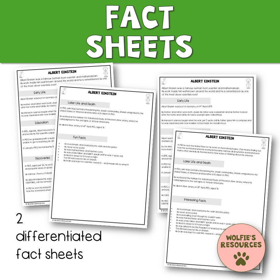 Albert Einstein Activities - Etsy