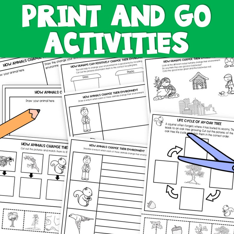 How Animals Change Their Environment - Etsy