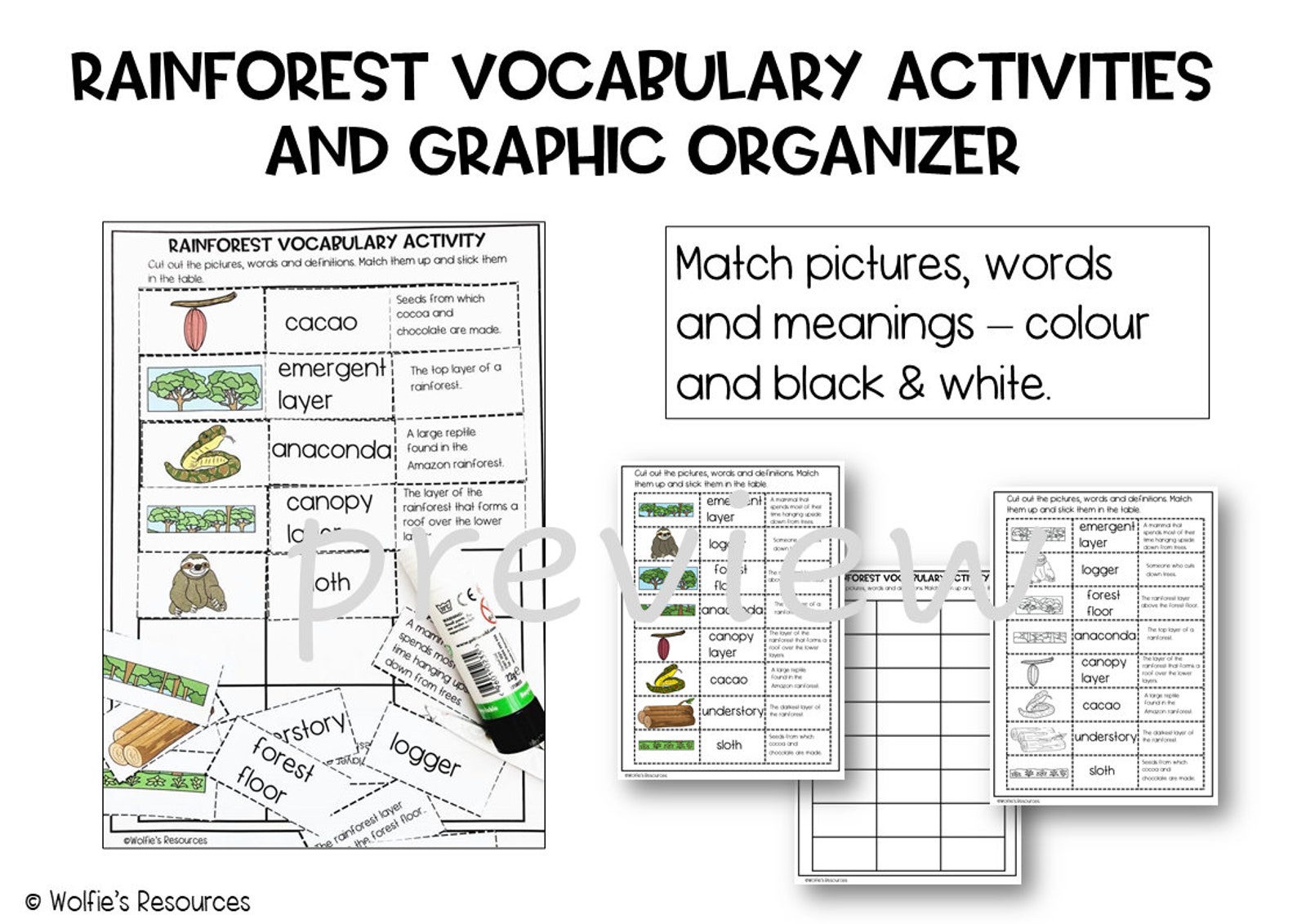 Rainforest Vocabulary Activities - Etsy