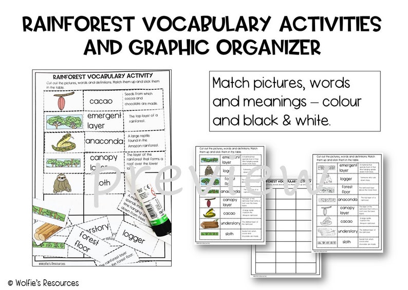 Rainforest Vocabulary Activities - Etsy
