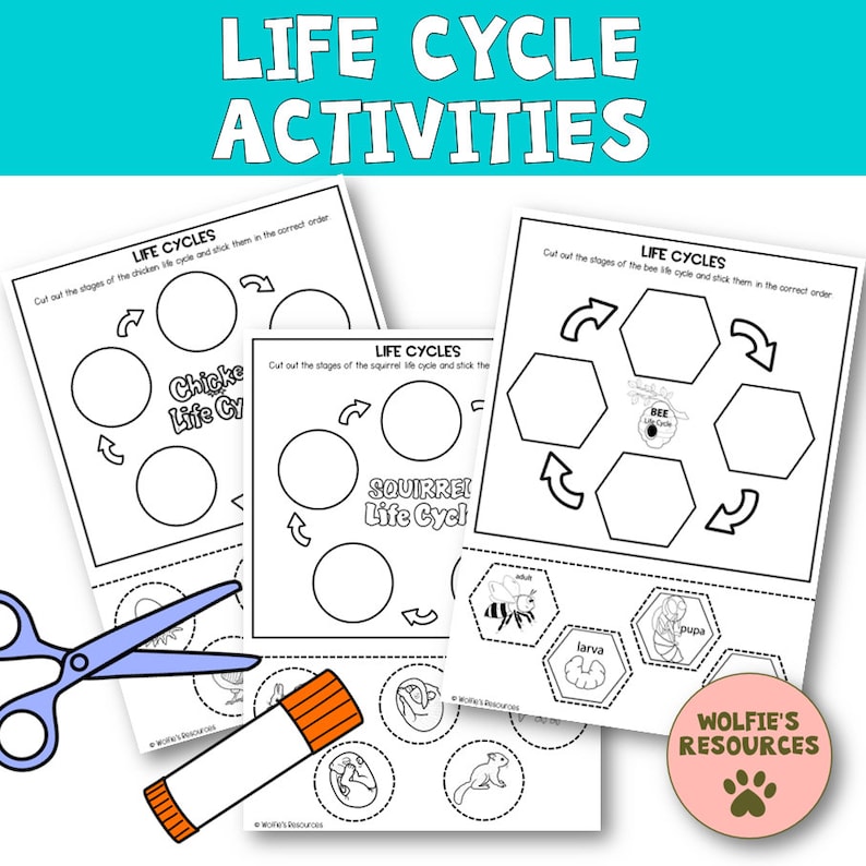 50 Science Printable Worksheets for First Grade and Homeschool - Etsy