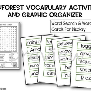 Rainforest Vocabulary Activities - Etsy