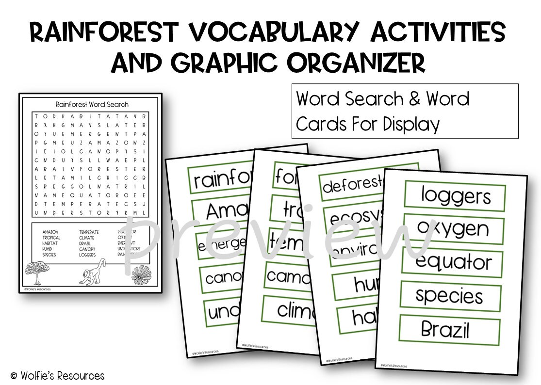 Rainforest Vocabulary Activities - Etsy