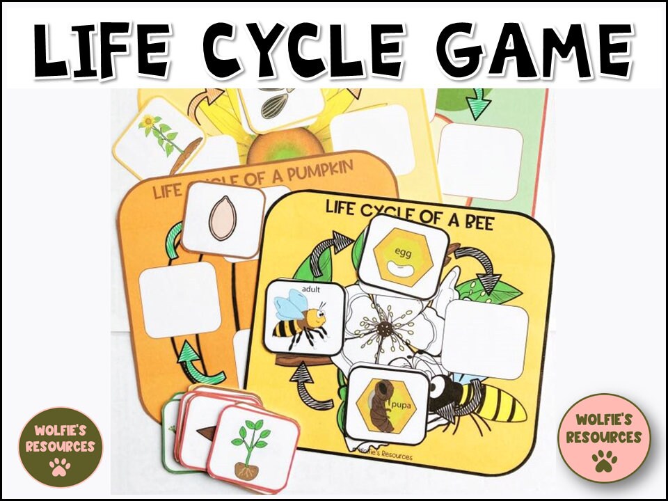 Life Cycle Game - Etsy
