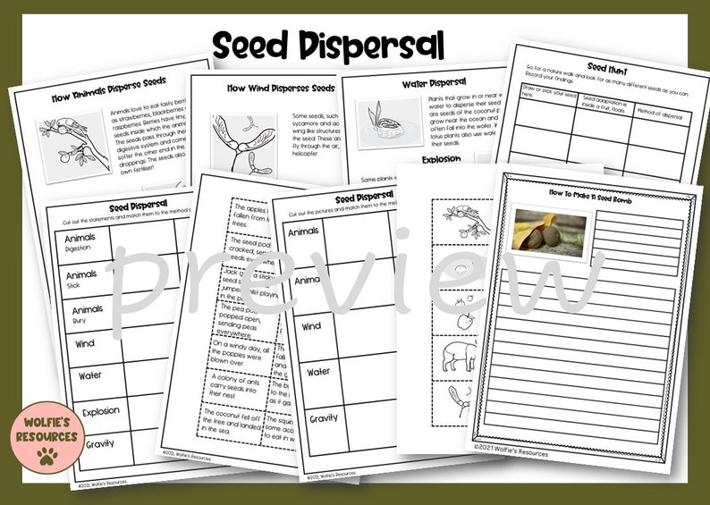 Seed Dispersal - Etsy