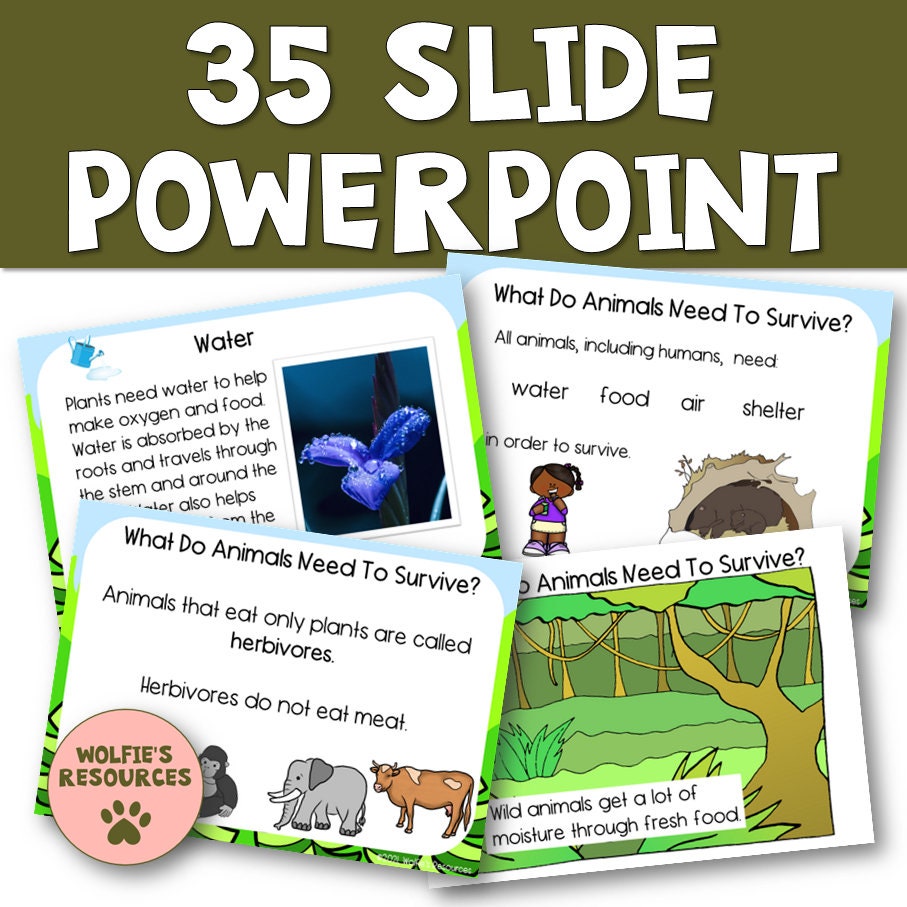 What Animals and Plants Need to Survive Kindergarten - Etsy