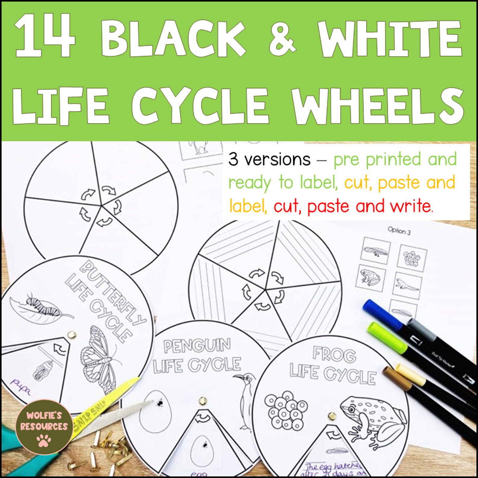 Life Cycle Wheels | 14 Life Cycle Wheels - Etsy