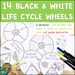 Life Cycle Wheels: Animal & Plant Learning Activity - Etsy