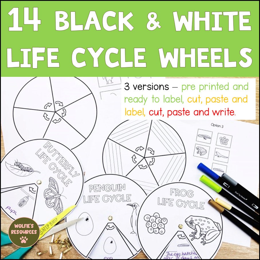 Life Cycle Wheels: Animal & Plant Learning Activity - Etsy