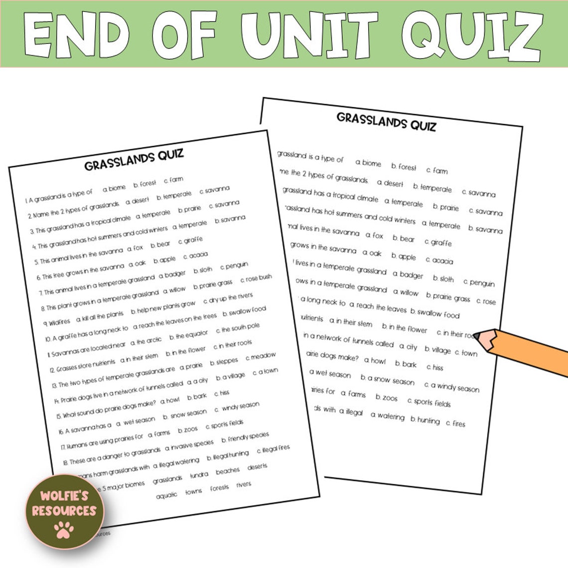 Grasslands Biome - Etsy