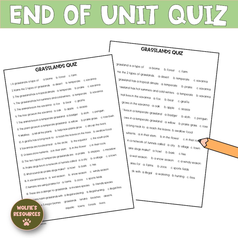 Grasslands Biome - Etsy