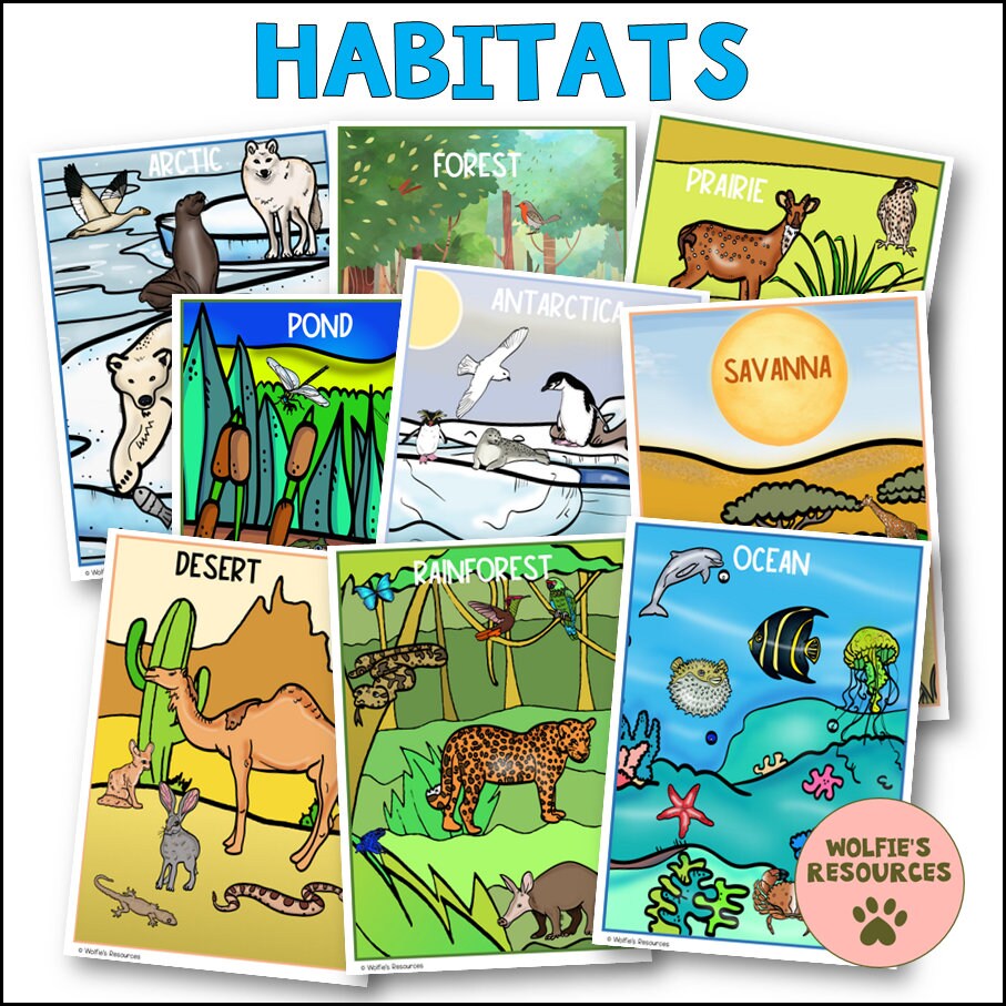 50 Science Posters for Kindergarten and Homeschool - Etsy