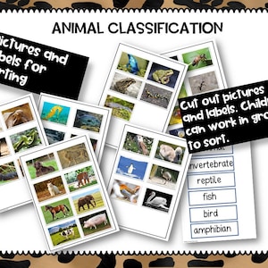 Animal Classification Activities - Etsy