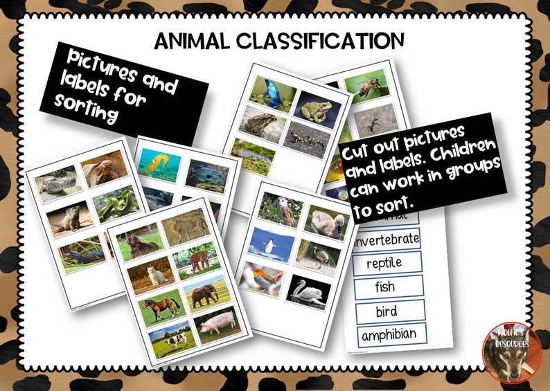 Animal Classification Activities - Etsy