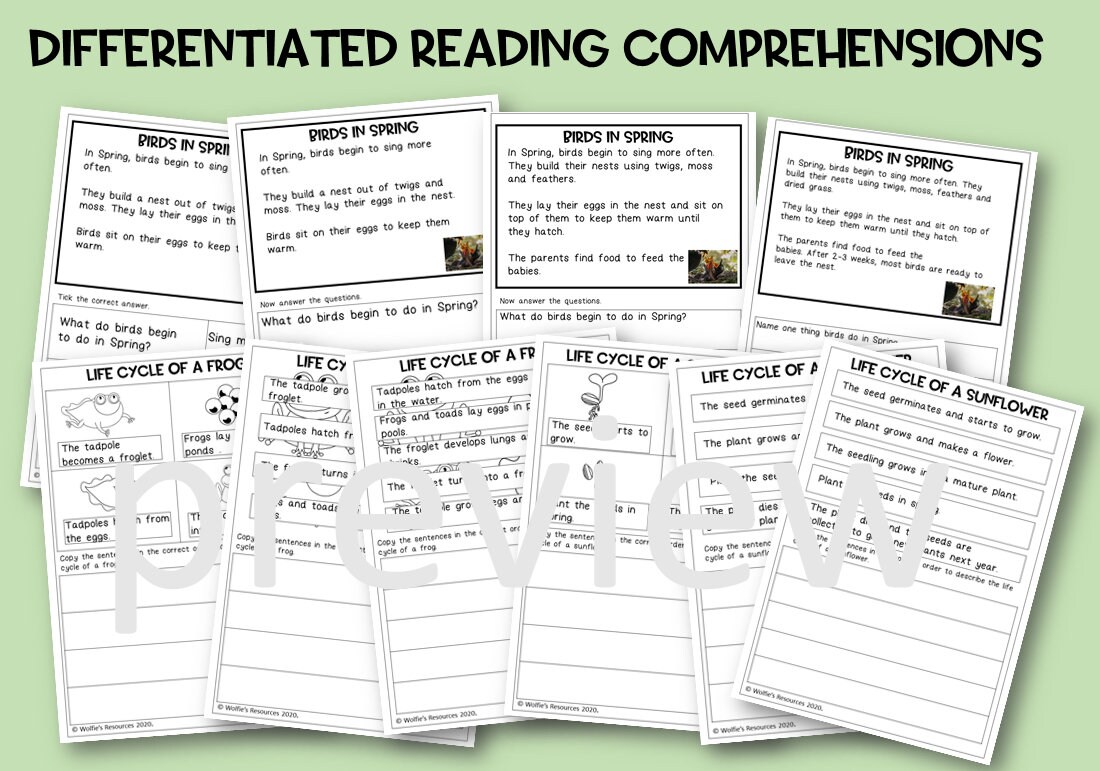 Spring Reading Comprehensions - Etsy