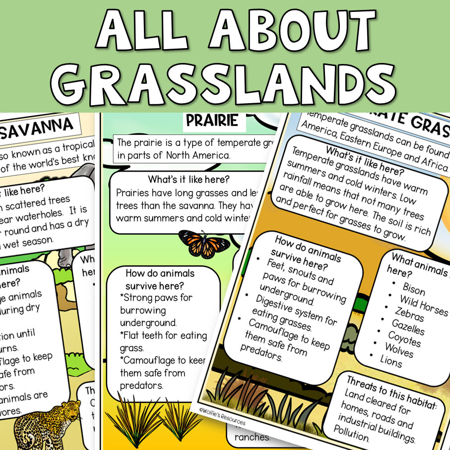 Grasslands Biome: Teaching Powerpoint & Activities (printable) - Etsy