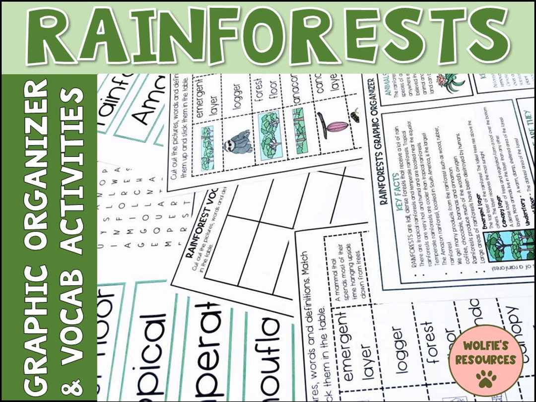 Rainforest Vocabulary Activities - Etsy