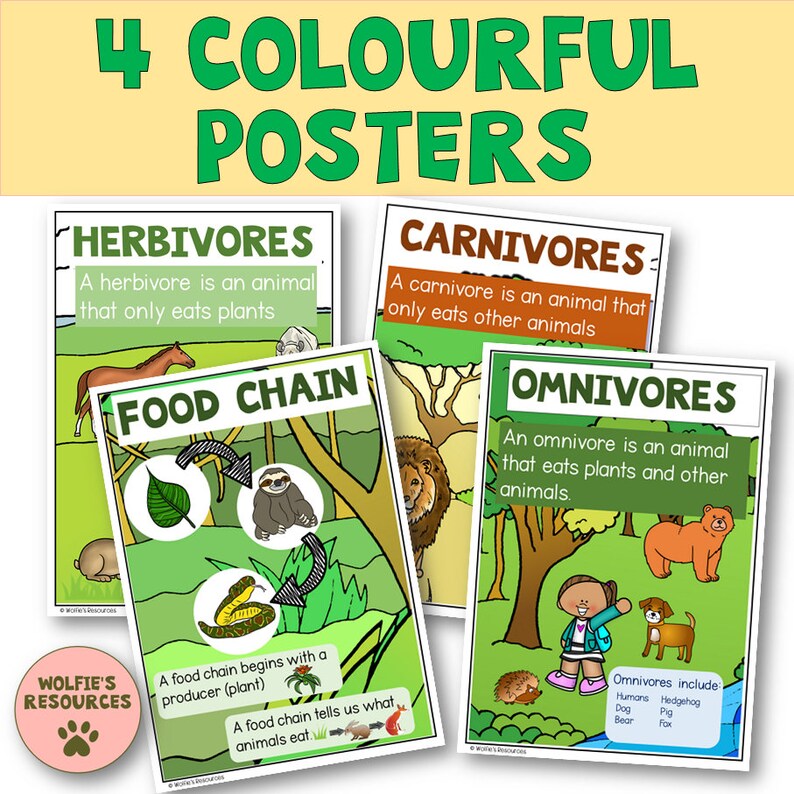 Food Chain Activities Year 2 | Home Schoolers - Etsy