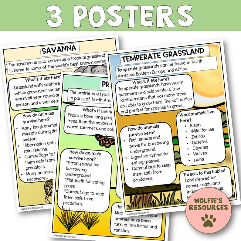 Grasslands Biome - Etsy