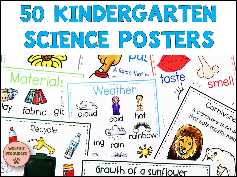 Science Posters For Kids