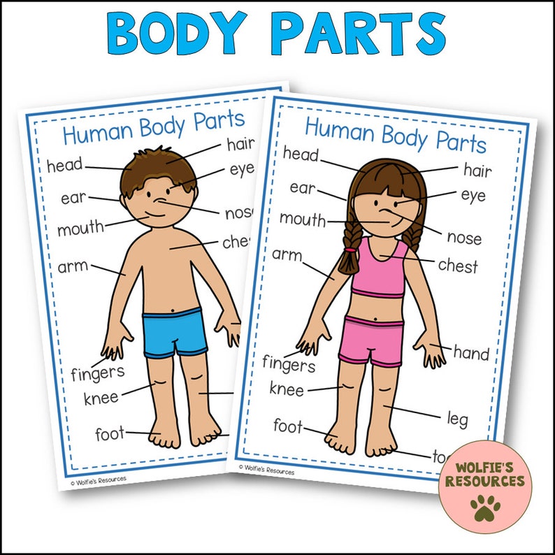 50 Science Posters for Kindergarten and Homeschool - Etsy