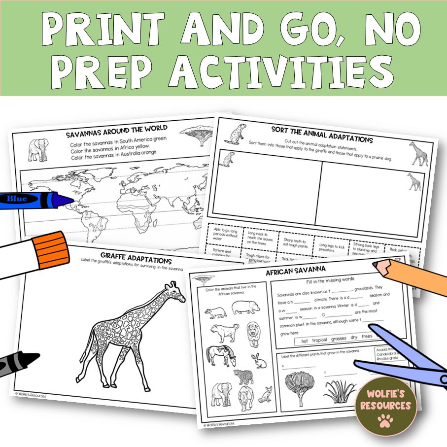 Grasslands Biome: Teaching Powerpoint & Activities (printable) - Etsy