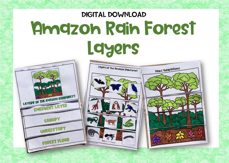 Amazon Rainforest Layers | Etsy