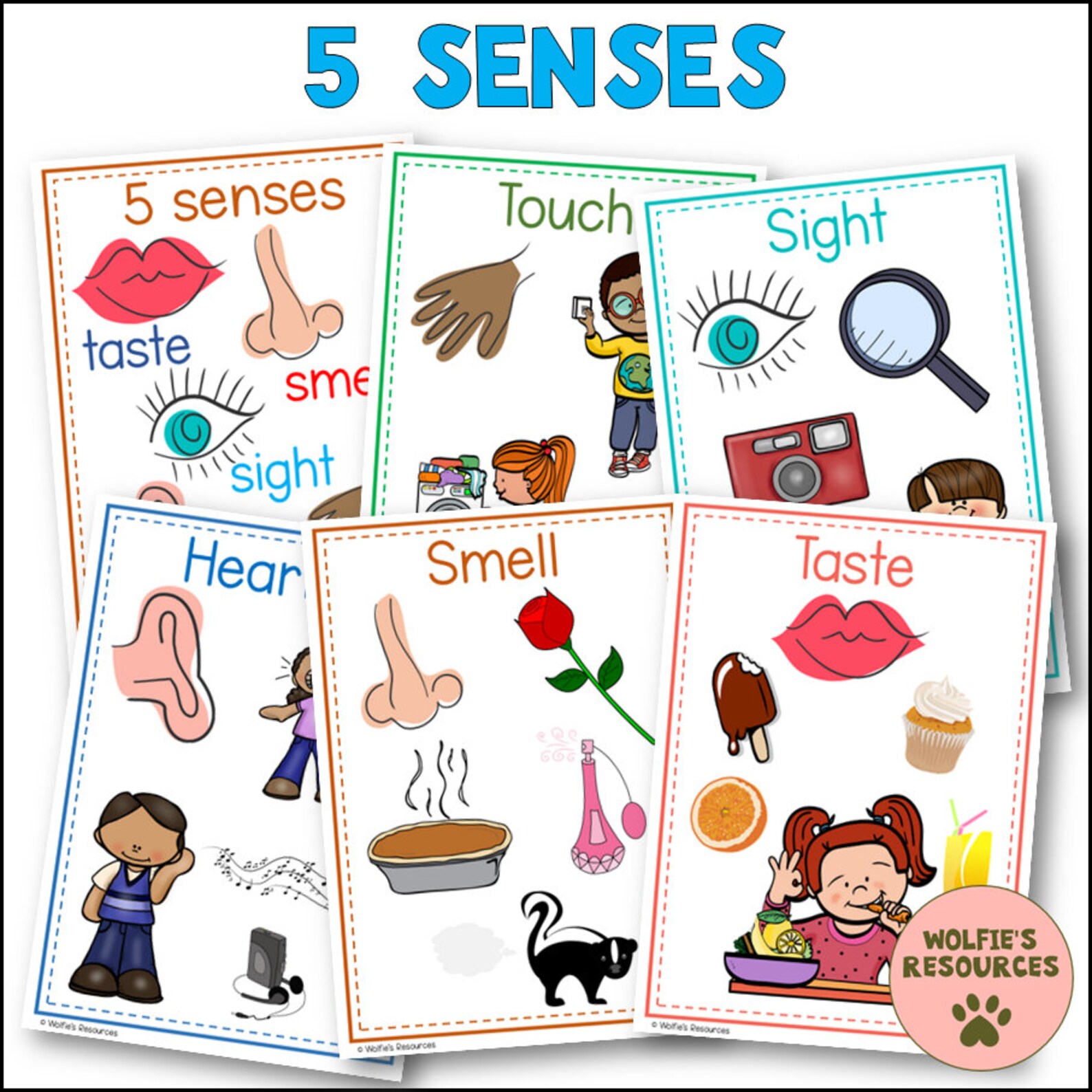 50 Science Posters for Kindergarten and Homeschool - Etsy