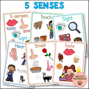 50 Science Posters for Kindergarten and Homeschool - Etsy