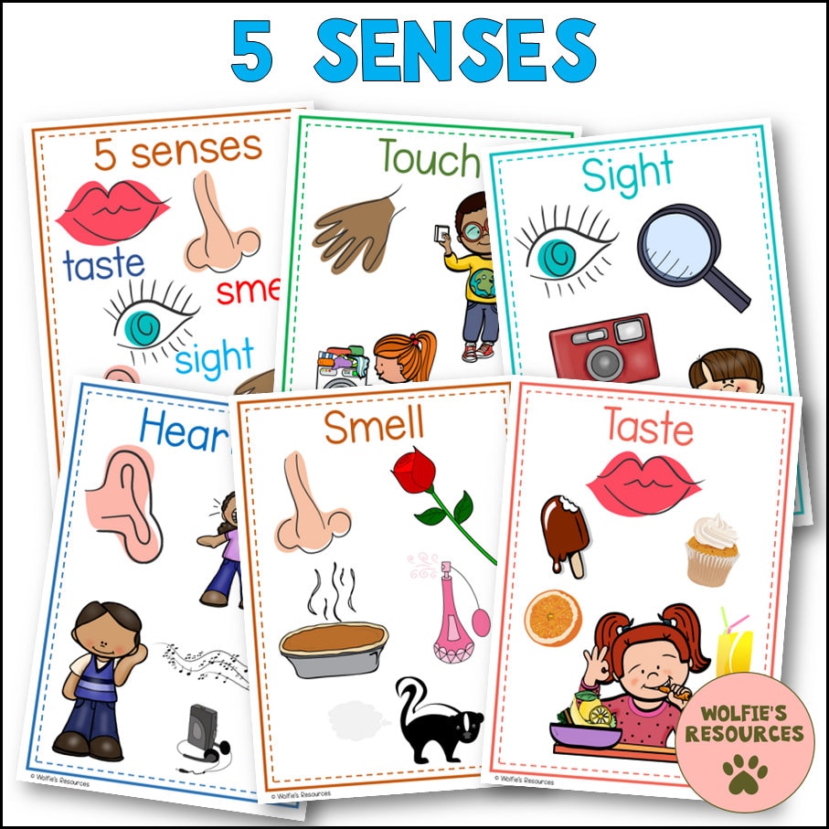 50 Science Posters for Kindergarten and Homeschool - Etsy