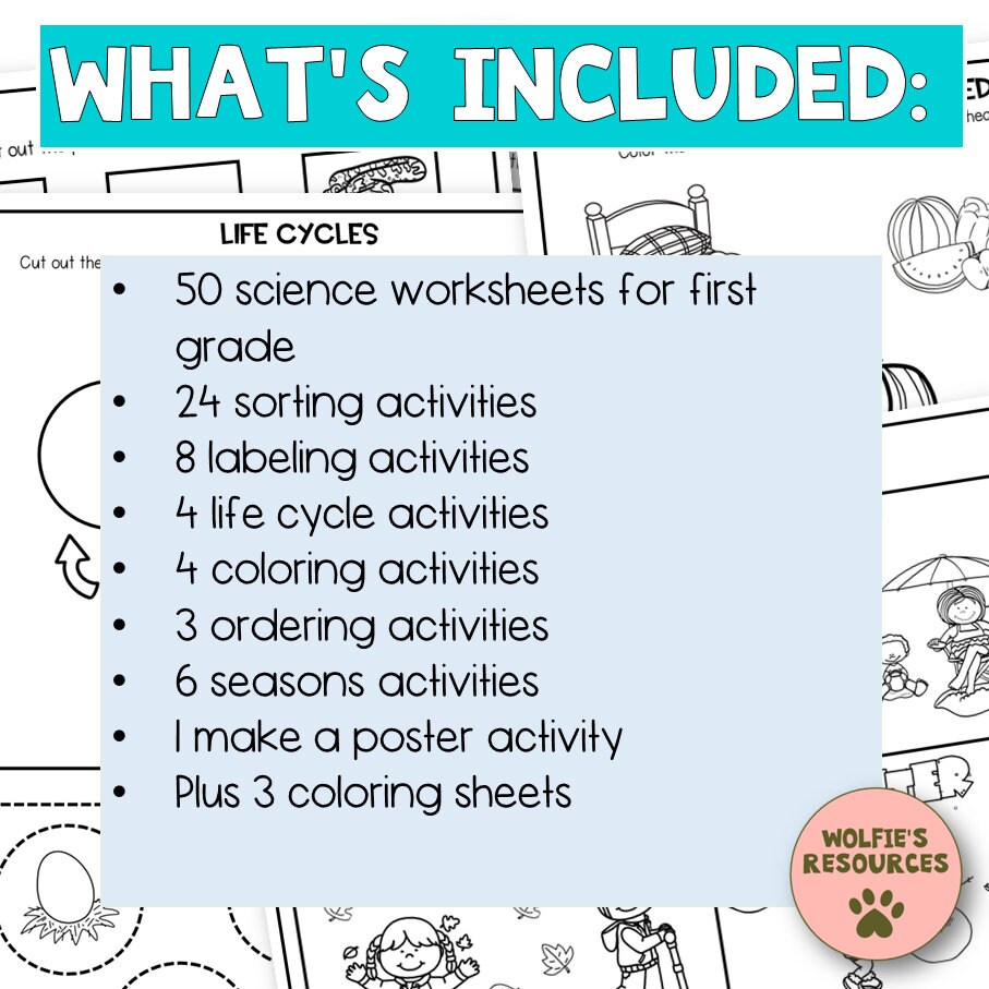 50 Science Printable Worksheets For First Grade Etsy UK