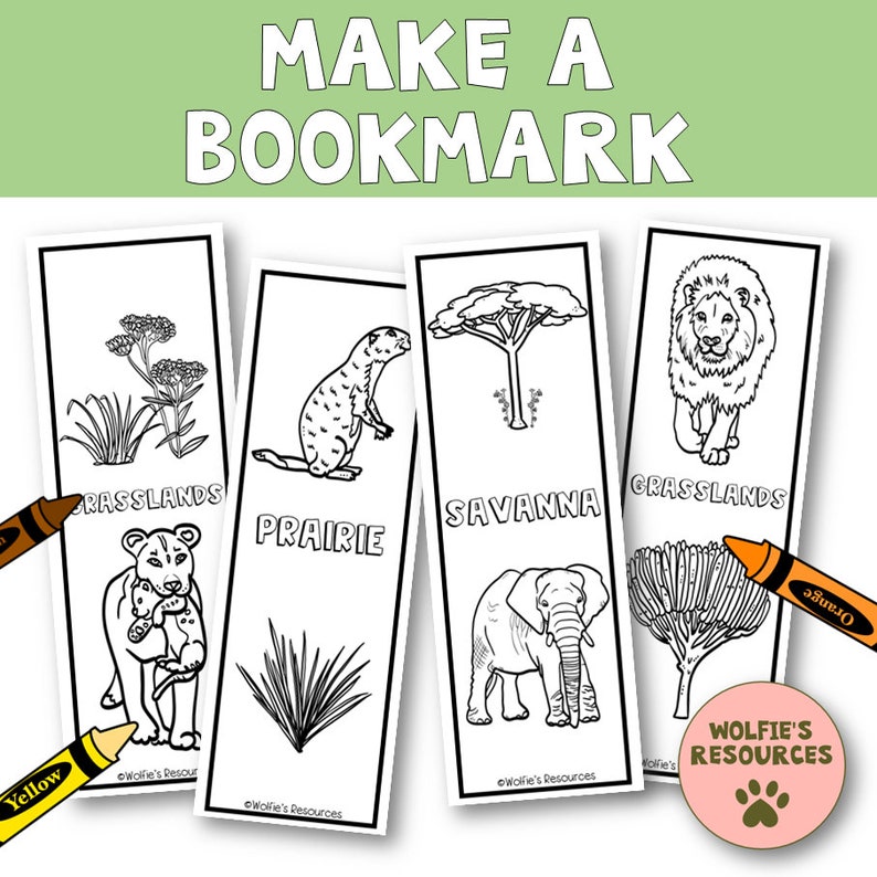 Grasslands Biome: Teaching Powerpoint & Activities (printable) - Etsy