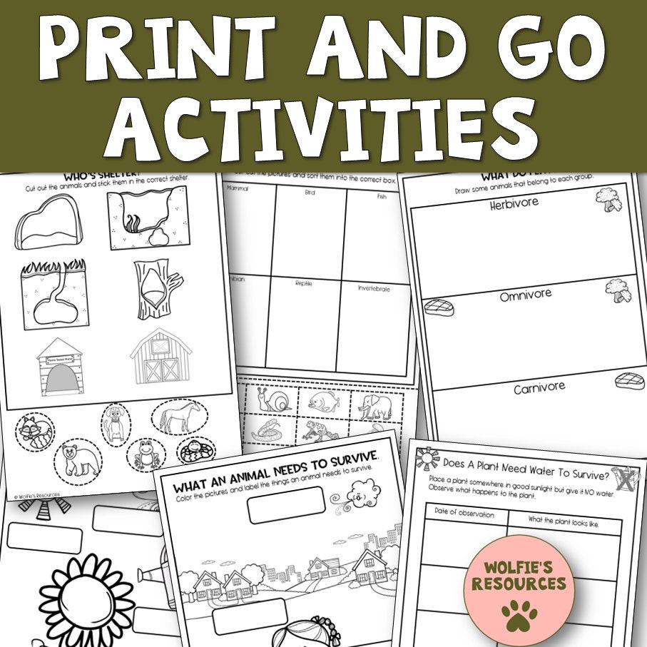 What Animals and Plants Need to Survive Kindergarten - Etsy