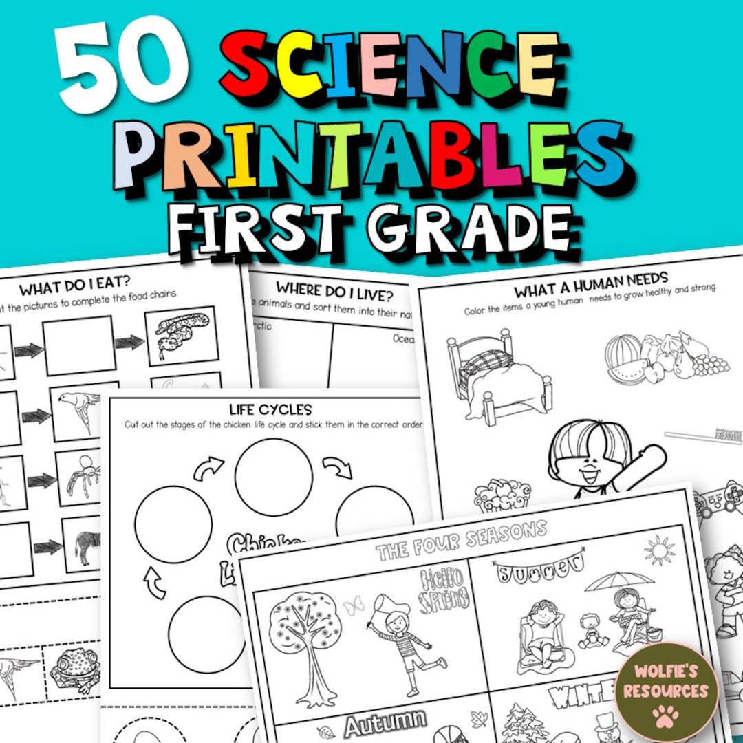 50 Science Printable Worksheets for First Grade and Homeschool - Etsy