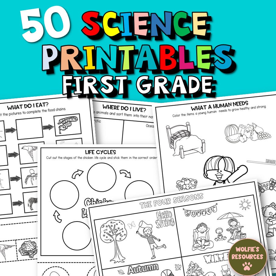 50 Science Printable Worksheets for First Grade and Homeschool - Etsy
