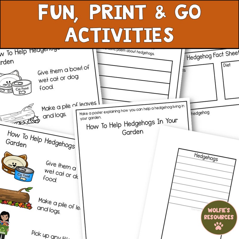 All About Hedgehogs - Etsy