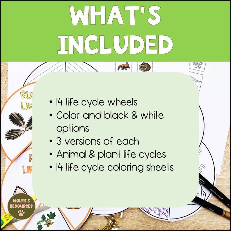 Life Cycle Wheels: Animal & Plant Learning Activity - Etsy