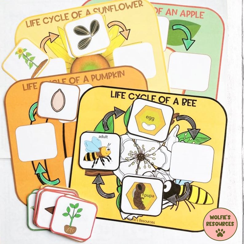 Life Cycle Game - Etsy