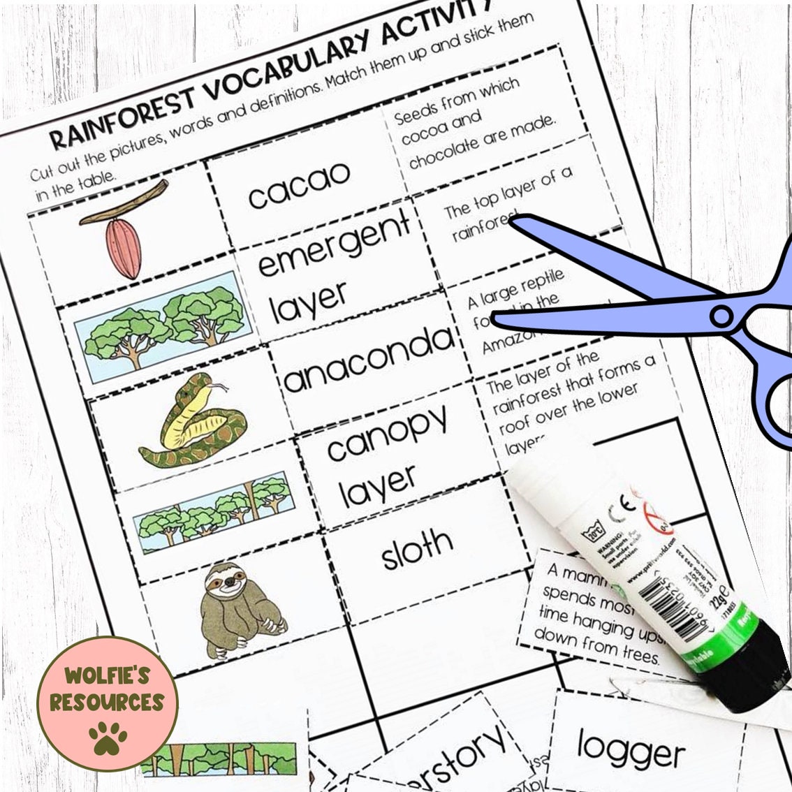 Rainforest Vocabulary Activities - Etsy