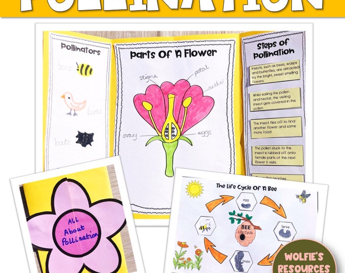 Pollinator Activity Book - Etsy